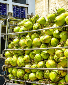 Customized Specialty Coconut Fat From a Trusted Manufacturer | Oleo-Fats